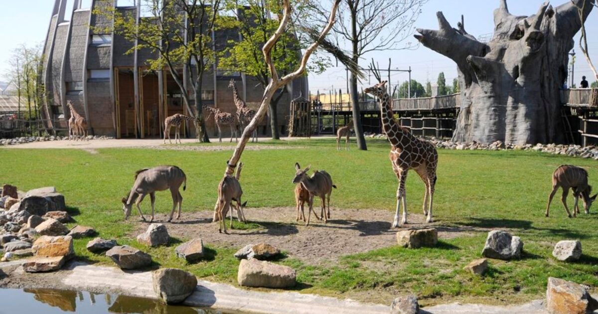 Duurzaam Gastvrij | Duurzame Dierentuinen in Nederland